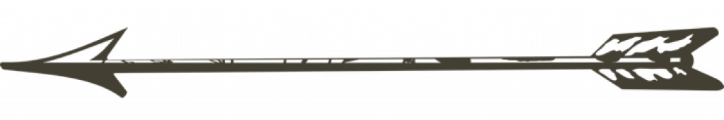 Types of Arrows Used for Hunting – Informative Guide and Top Picks