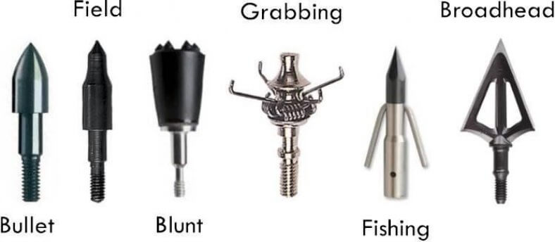 Different Arrow Tips for Hunting Explained by Expert Archers