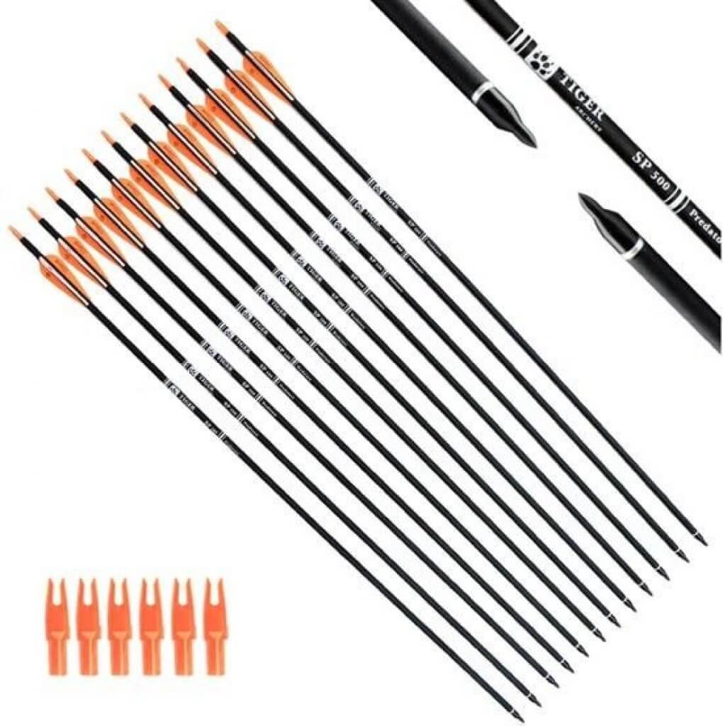 Types of Arrows Used for Hunting – Informative Guide and Top Picks