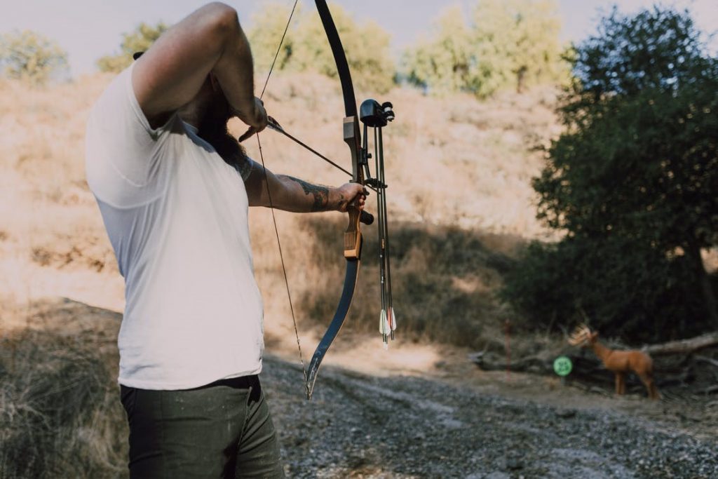Professional Bow and Arrow Set for Hunting – How to Choose the Right ...