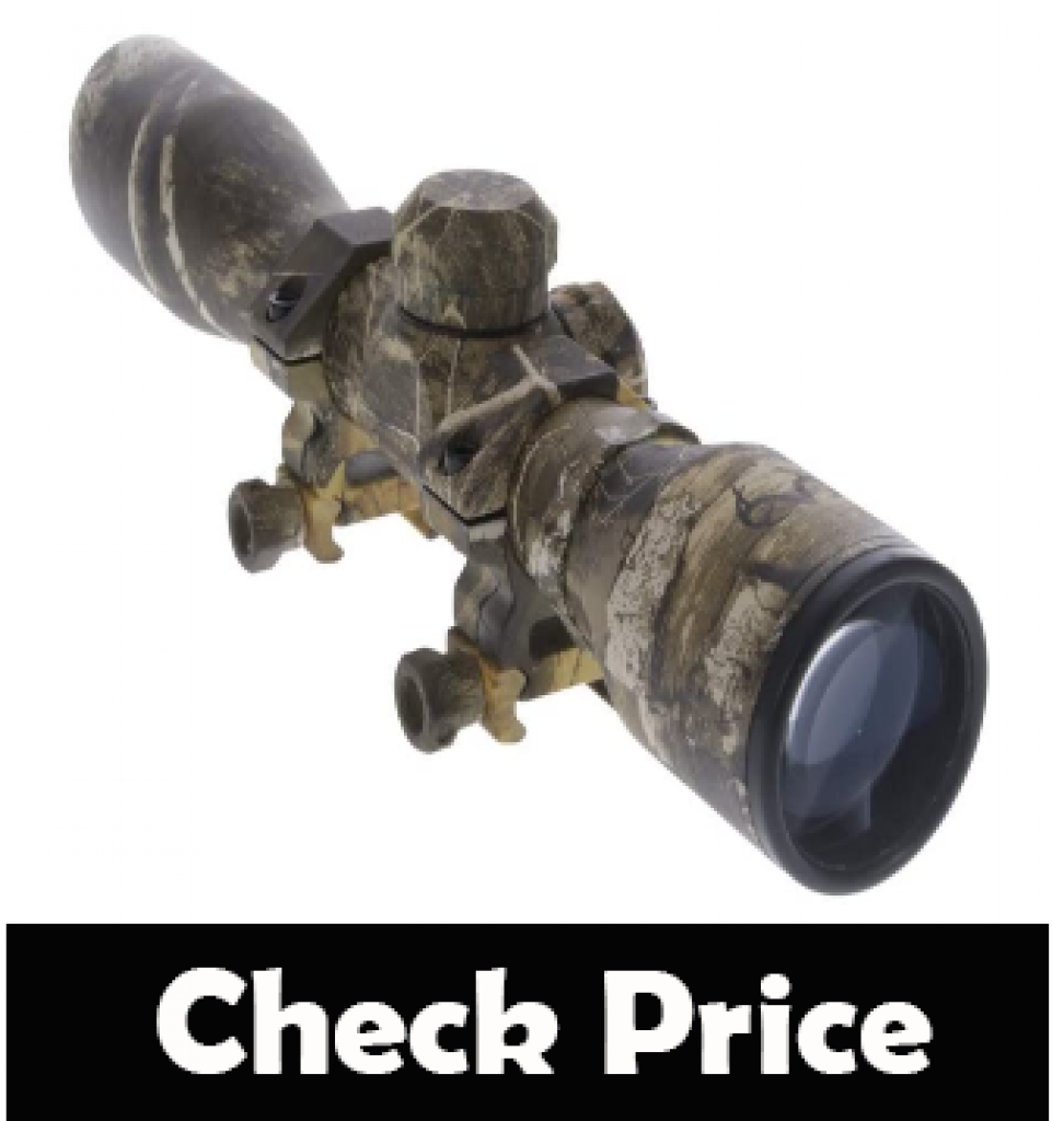 9 Best Scopes For Ruger 10/22 | 2020 Compact & Rifle Scope Reviews ...